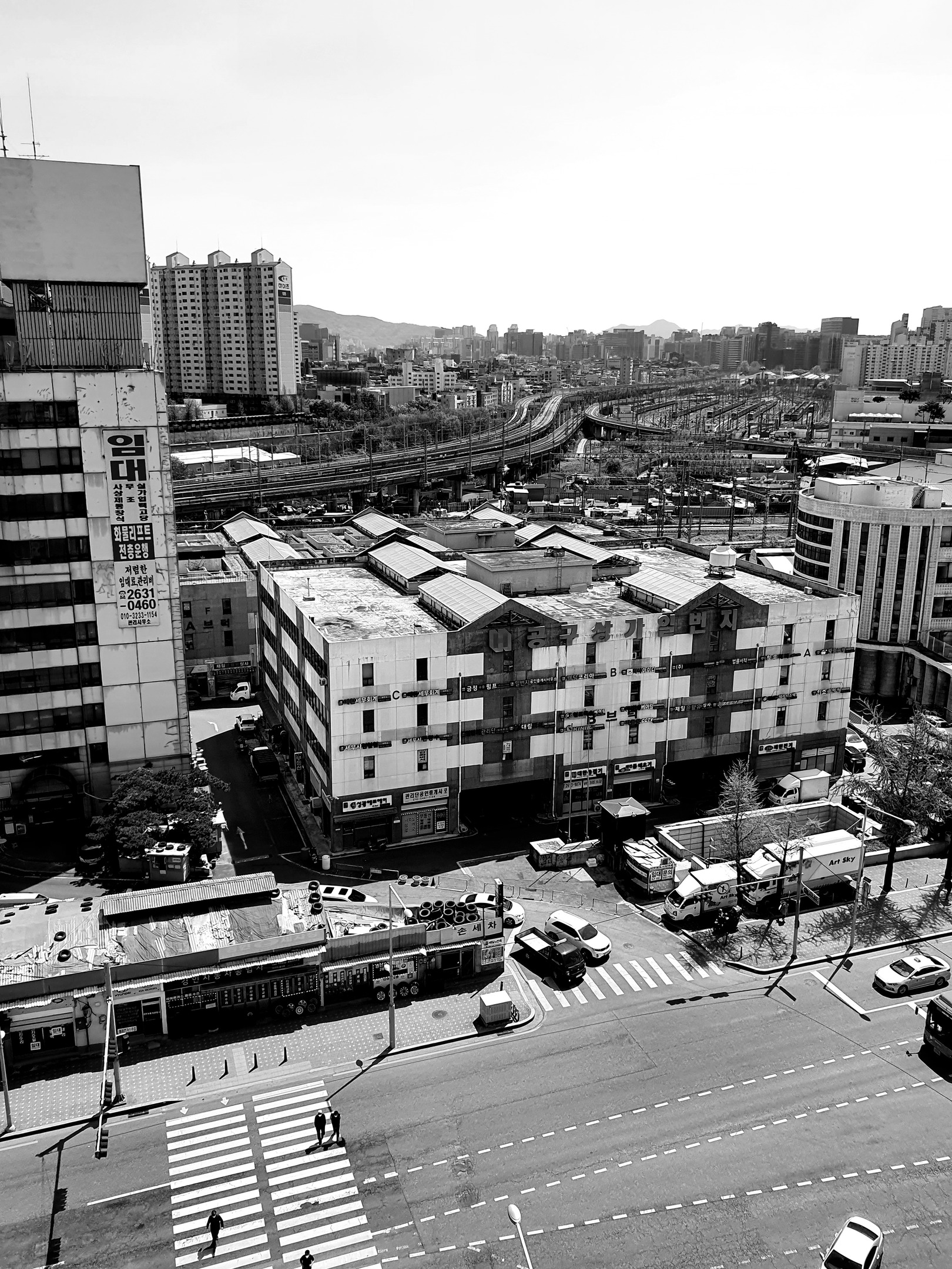 Image 981506 RaySoda